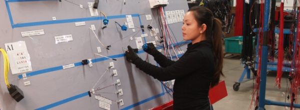 International Wire Harness Supplier | Domestic Wire Harness Supplier